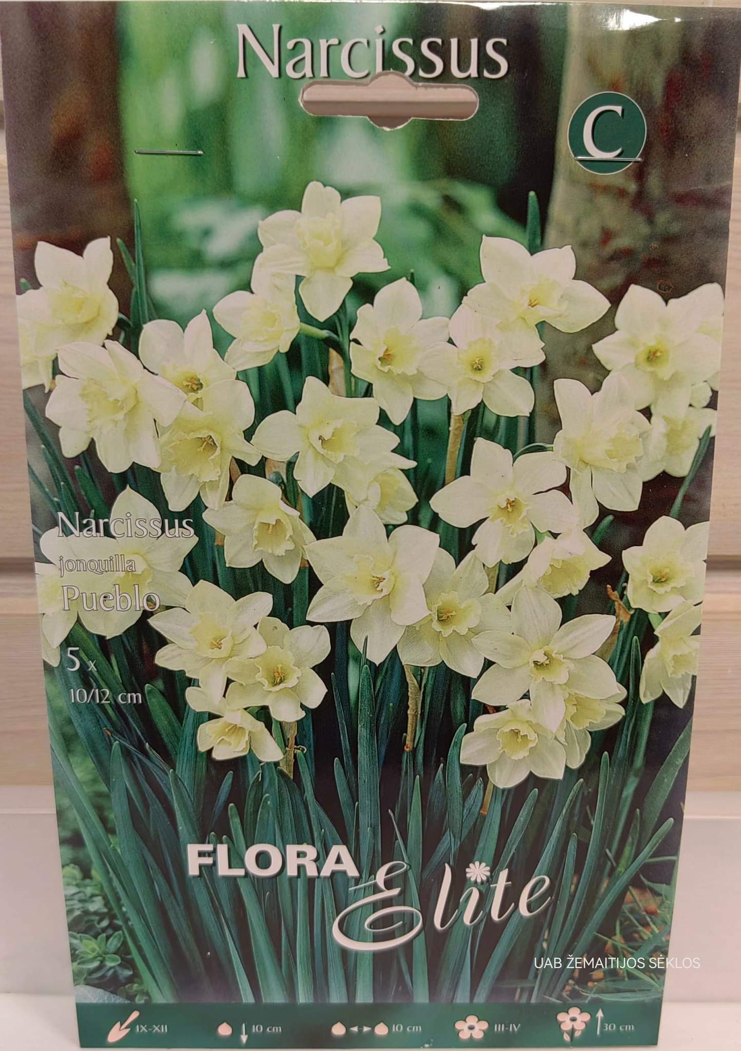Narcizai KVEPIANTYS balti su baltu vamzdeliu 'PUEBLO', 5 svogūnėliai ...